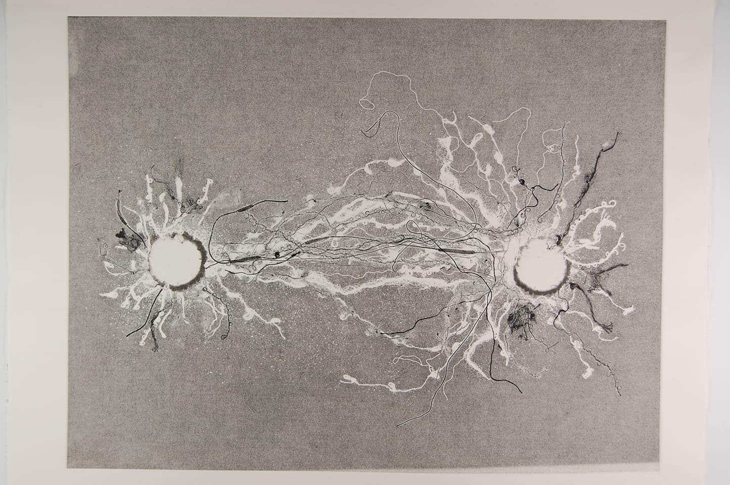 Susan Aldworth | Artist Interview Series – repsychl