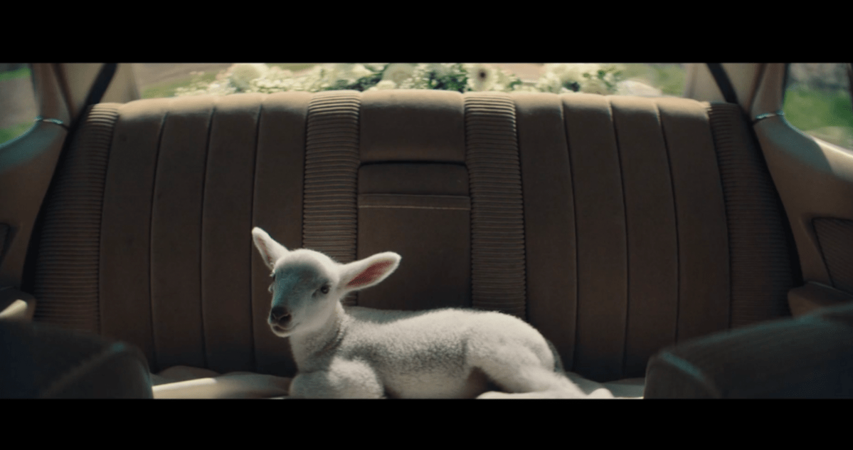 4 Short Films Exploring Identity and Belonging | repsychl Selects ...